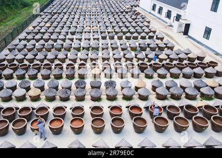 RUGAO, CHINA - JUNE 14, 2023 - A worker uses a wooden rake to stir ...