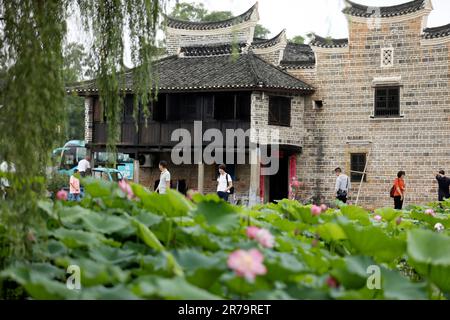 ZIXING, CHINA - JUNE 14, 2023 - Tourists enjoy the lotus in Liuhuawan ...
