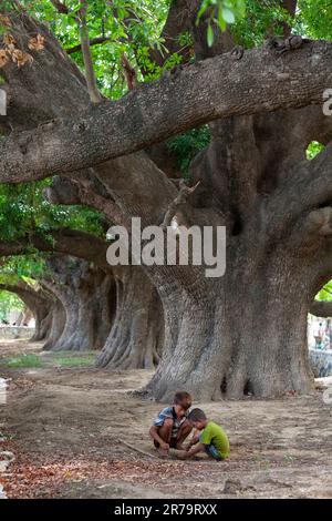 Two children playing under big trees, Amarapura (near Mandalay ...