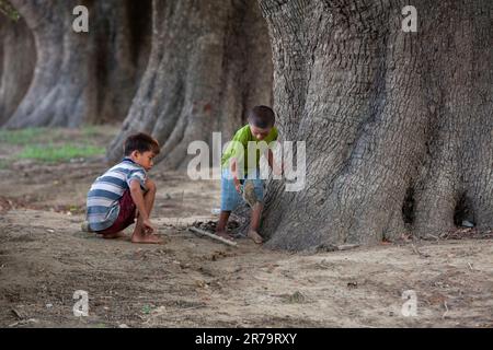 Two children playing under big trees, Amarapura (near Mandalay ...