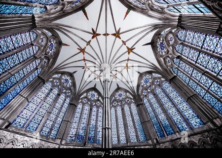 Fan vault in the chapter house at Salisbury cathedral, Wiltshire ...