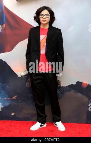 Ian Loh bei der Premiere des Kinofilms 'The Flash' im Ovation Hollywood ...