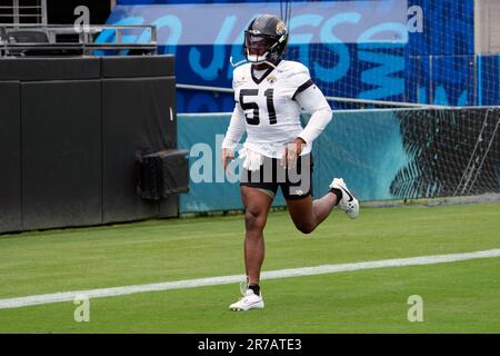 Jacksonville Jaguars linebacker Ventrell Miller (51) works on a ...