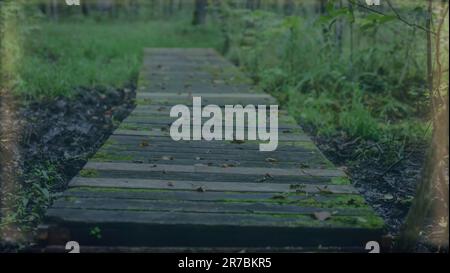 Background graphic resources template of wooden boardwalk walking path ...