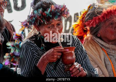 Portrait of an Ancient Guarani Kaiowá Woman Stock Photo - Alamy