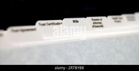 Estate planning documents organized with tabs for Will Power of ...