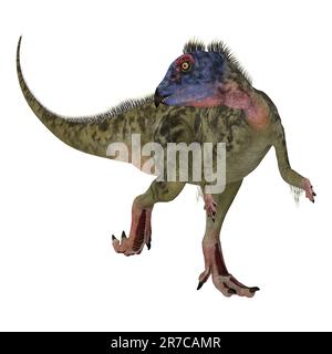 Hypsilophodon was a omnivorous ornithopod dinosaur that lived in ...