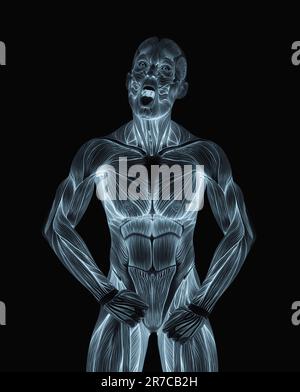 average man muscle maps is so angry, 3d illustration Stock Photo - Alamy