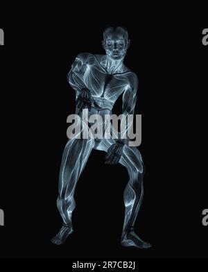 average man muscle maps is doing a bodybuilder pose, 3d illustration ...