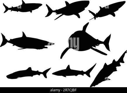 sharks collection - vector Stock Vector Image & Art - Alamy