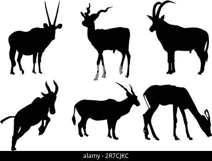 antelopes collection - vector Stock Vector Image & Art - Alamy