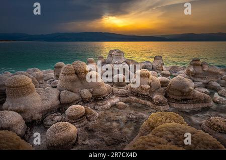 SALT STACKS MINERAL BEACH MIZPE SHALEM DEAD SEA ISRAEL Stock Photo - Alamy