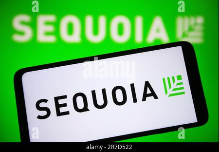 In this photo illustration a Sequoia logo seen displayed on a ...