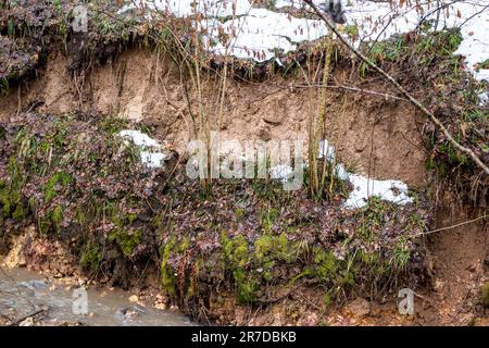 A small landslide on the clay slope of the ravine due to water washout ...