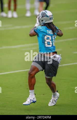 Carolina Panthers tight end Ian Thomas (80) runs against the New York ...