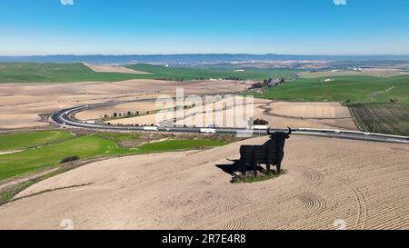 Aerial view of The bull of Osborne is a huge silhouette . cultural ...