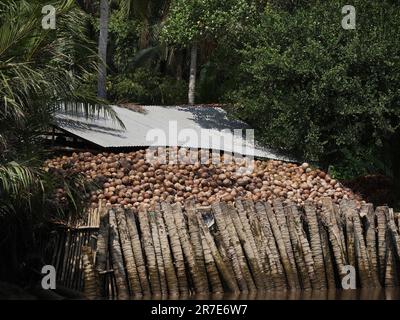 Vietnam, Mekong Delta, Coconut Factory Stock Photo - Alamy