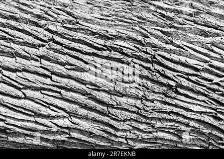 Granular material, solid wood with a structural surface for design ...