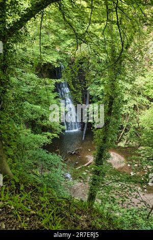 Falling Foss Waterfall at Littlebeck near Whitby, North York Moors. At ...