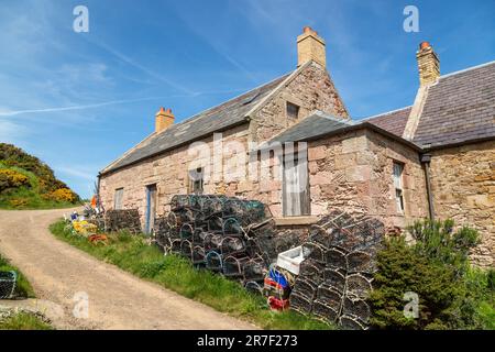 Cove Harbour is one of the hidden gems of South East Scotland, Scottish ...