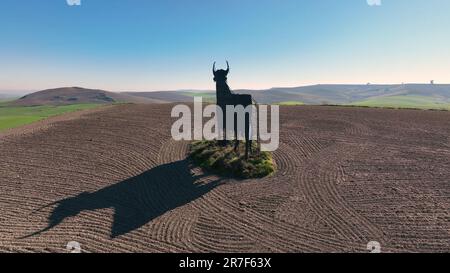 Aerial view of The bull of Osborne is a huge silhouette Stock Photo - Alamy