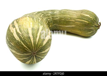 A vibrant, fresh green squash sits atop a smooth white background Stock ...