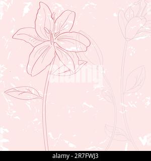 Vector pictures with pink lilia flowers Stock Vector Image & Art - Alamy