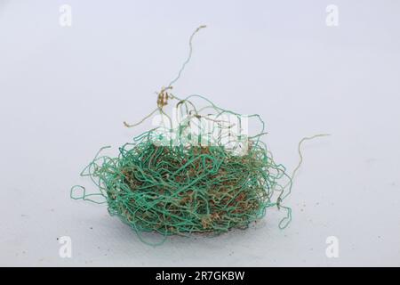 Long green knotted fishing line washed up ashore Stock Photo - Alamy