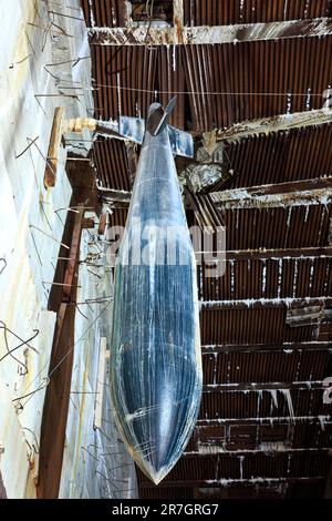 World war 2 bomb; A 12000 lb Tallboy bomb carried by Lancaster bombers ...