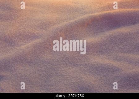 Surface of pure white snow with bumps. High quality photo Stock Photo ...