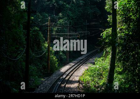 An uphill right curve of Corcovado Rack Railway train tracks running ...
