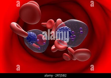 Multiple myeloma (MM) cells in the blood flow - microscopic view 3d ...