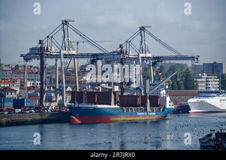 Harbor Container Cranes from around the World. Intermodal Container ...