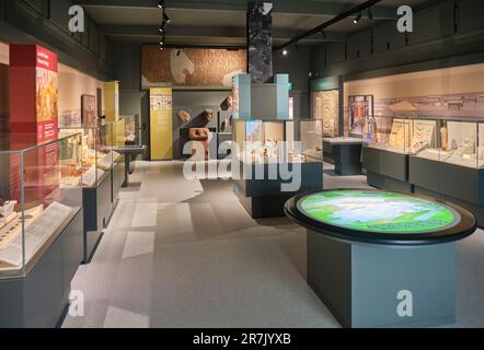 Museum display of Roman artefacts at the Wroxeter Roman City, Wroxeter ...