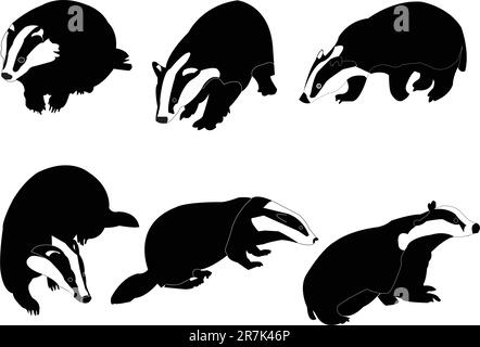 badgers collection - vector Stock Vector Image & Art - Alamy