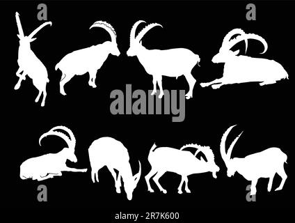 rock goats collection - vector Stock Vector Image & Art - Alamy