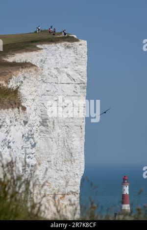 Tourists standing dangerously close to Beachy Head Cliff Edge viewed ...