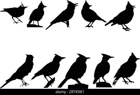 lark collection - vector Stock Vector Image & Art - Alamy