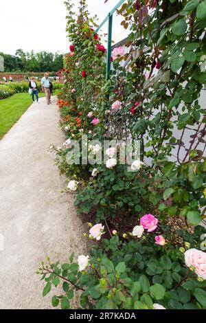 Countess Margit Cziraky Rose Garden, founded in 1908, Esterhazy Palace ...