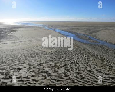 Weids uitzicht over het strand met bandensporen, Extensive view at the ...