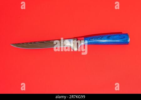 The Modern Blue Kitchen Knife is a perfect blend of style and ...