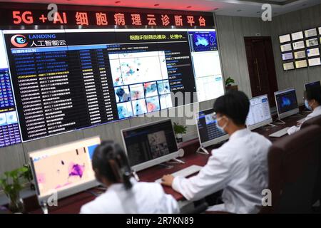 Researchers conduct artificial intelligence-assisted cytology testing ...