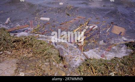 Floating debris has reached Black Sea beaches in Odessa, Ukraine ...