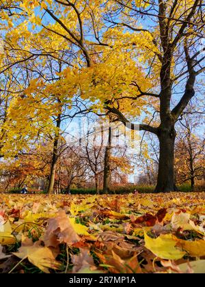 Autumn in Warsaw, Poland, Europe Stock Photo - Alamy