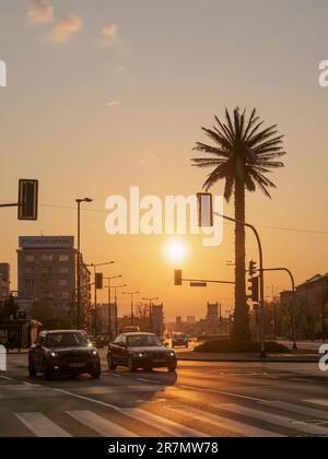 Artificial Palm Tree at Charles de Gaulle Roundabout, Warsaw, Masovian ...