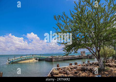 whereabouts of fishing pangas in the port of Yavaros. . Yavaros Bay and ...