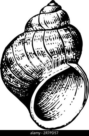 Snail shell with geometric pattern. Spiral shell symbol. Line outline ...