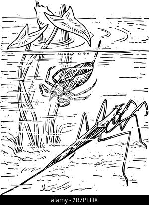 Water insects in the river Stock Vector Image & Art - Alamy