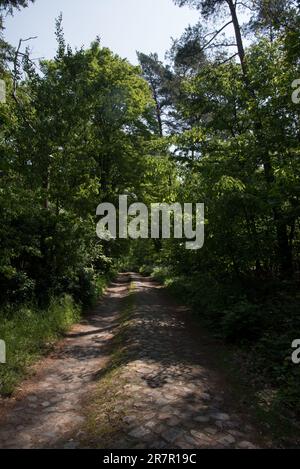 Some single lane country road is connecting tiny village Briesen in ...