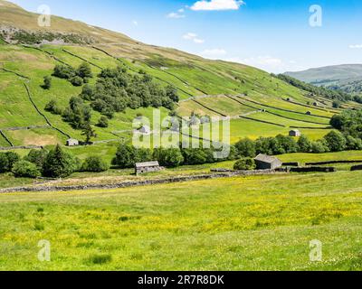 A classic view of Swaledale Stock Photo - Alamy